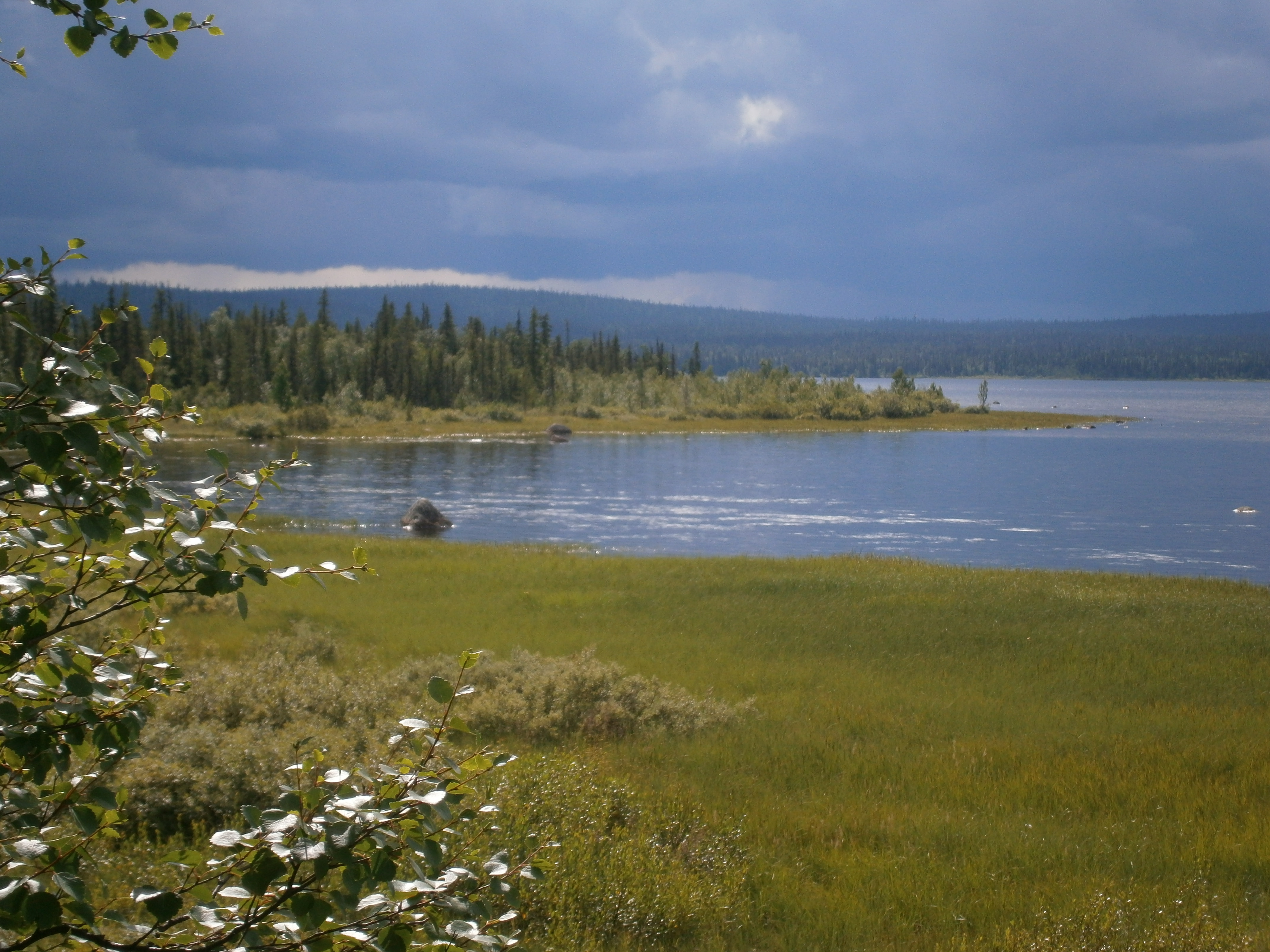 OLYMPUS DIGITAL CAMERA - Ulvens blik